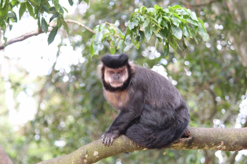 Parque Ecológico de Maracajá estará aberto no dia de Corpus Christi ...